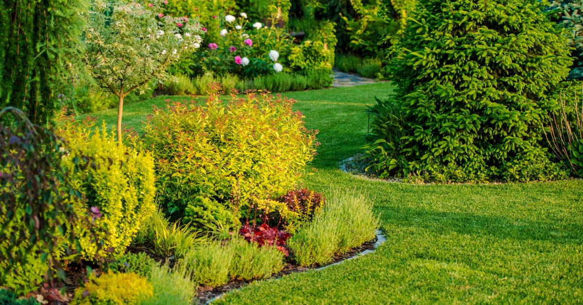 Tendencias en diseño de paisajes rurales - Tecniagro Paisajismo